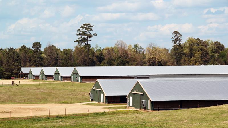 Navigating Hard Times in Agriculture